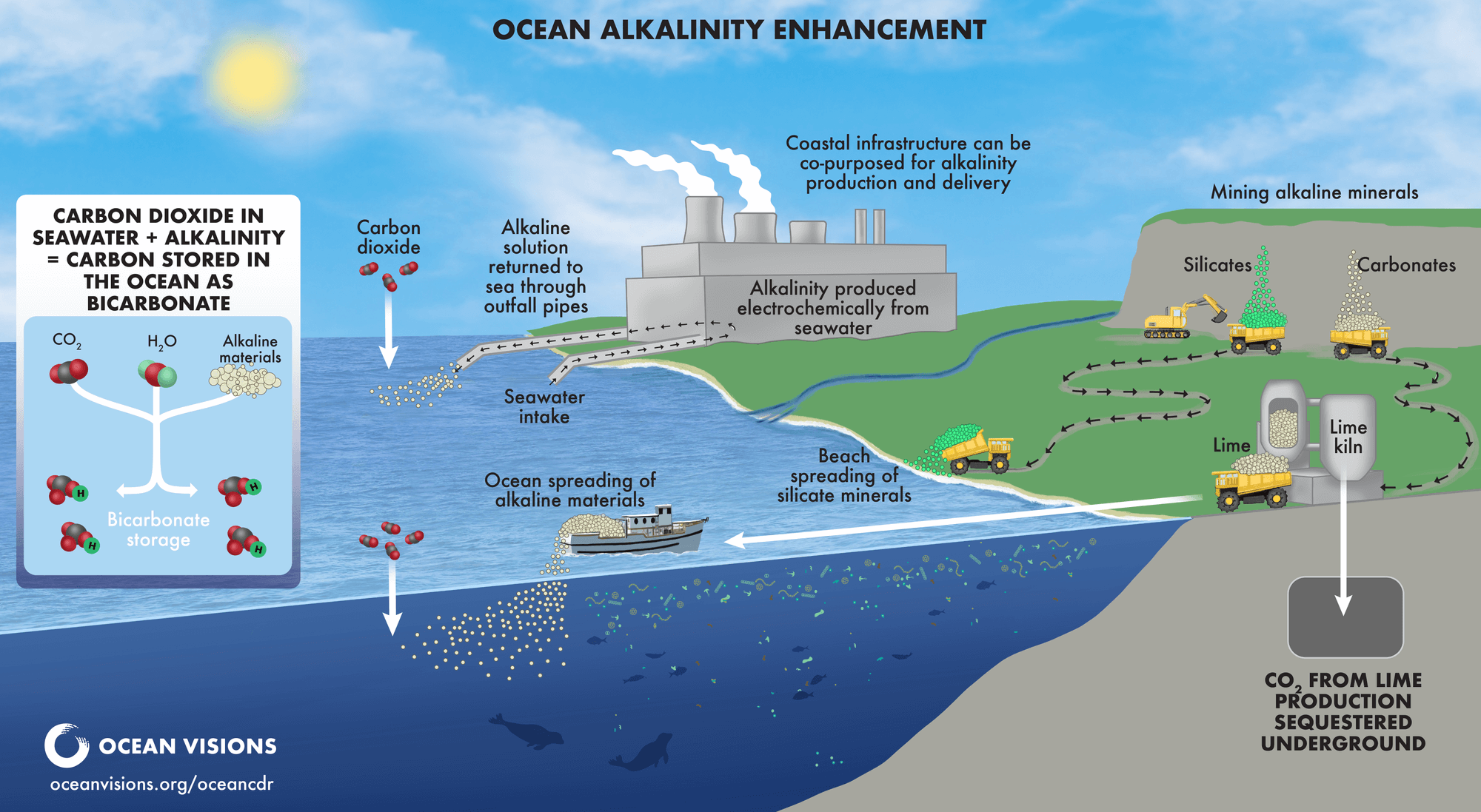 Ocean Alkalinity Enhancement - Ocean Visions
