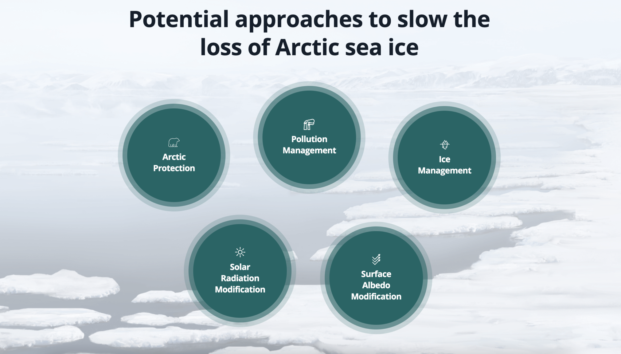 Arctic Sea Ice - Ocean Visions